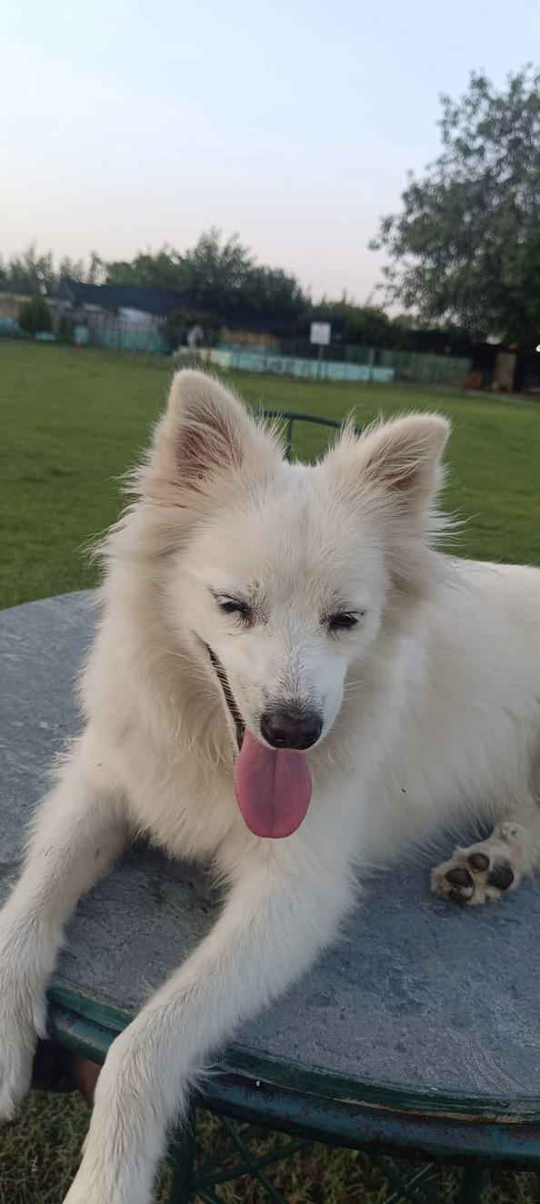 RnP Parent Speak | My journey with Moose and Spring - Aarti - Home